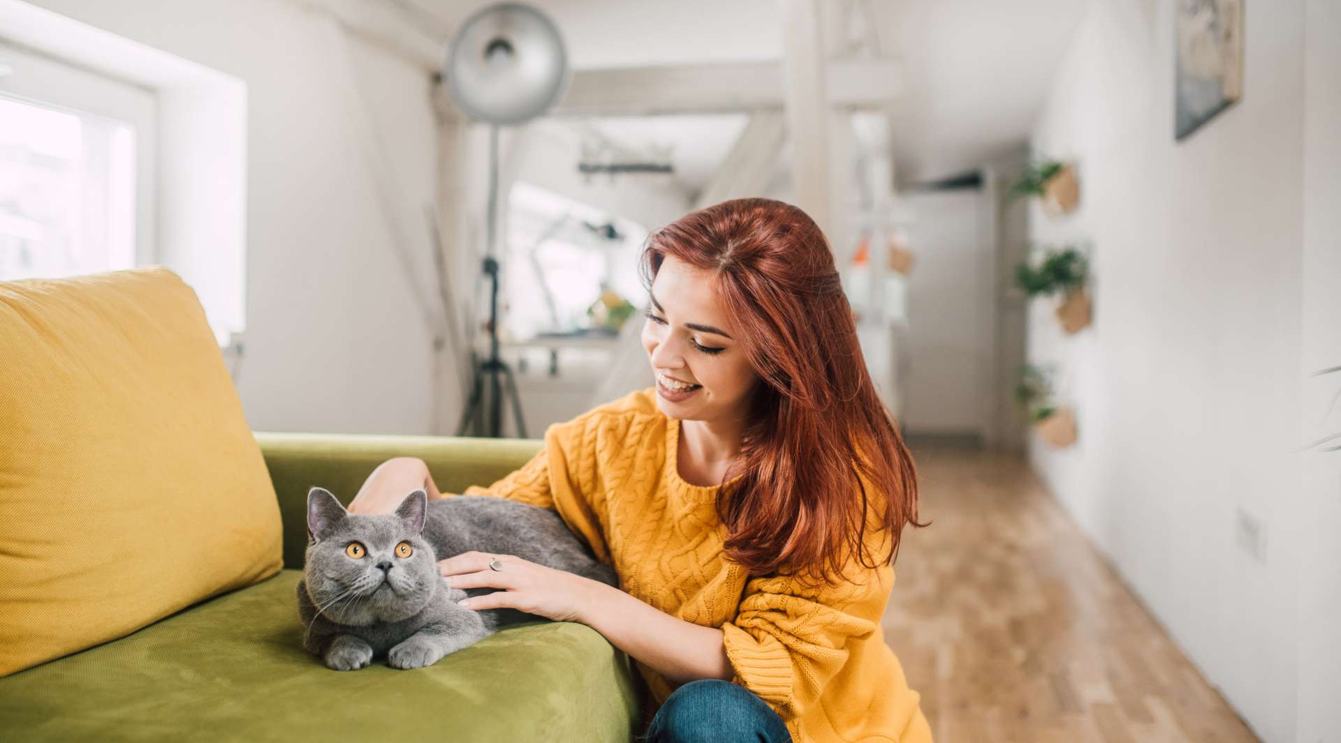 Impfung Katze: Impfplan, Kosten & Pflichten | Allianz