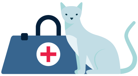 Impfung Katze: Impfplan, Kosten & Pflichten | Allianz